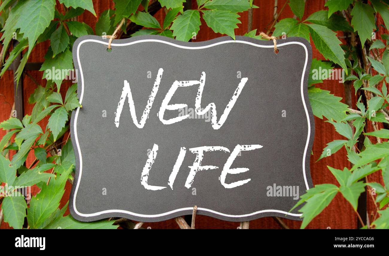 New life symbol. Concept words New life on black chalk background ...
