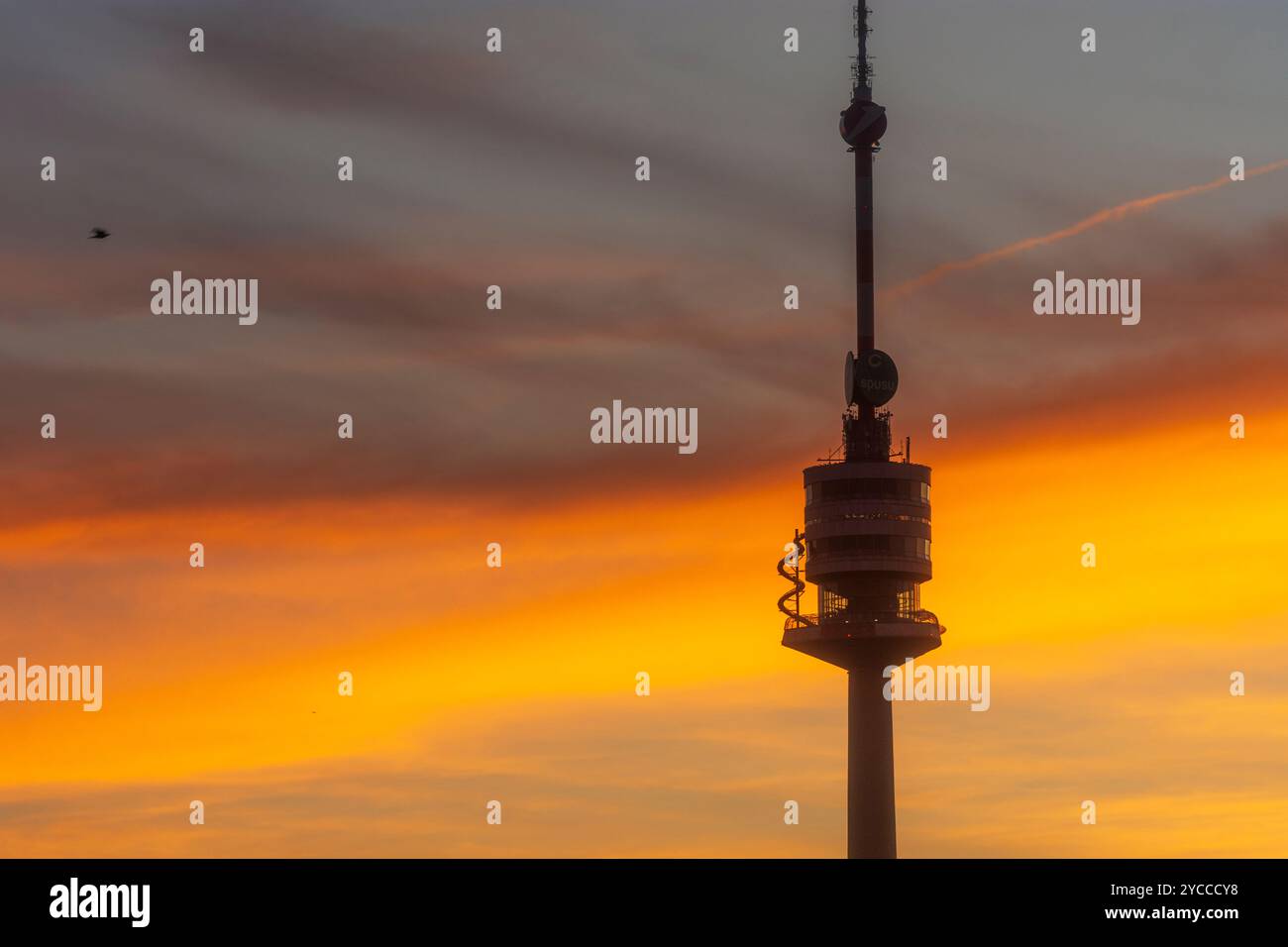 Vienna: tower Donauturm (Danube Tower), sunrise in 22. Donaustadt, Wien ...