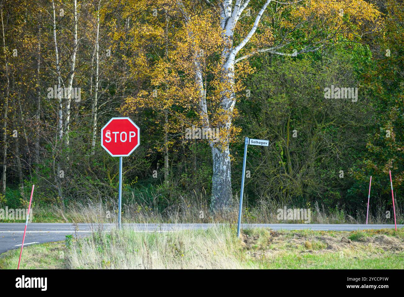 A stop sign marks the intersection of two roads in a tranquil rural ...