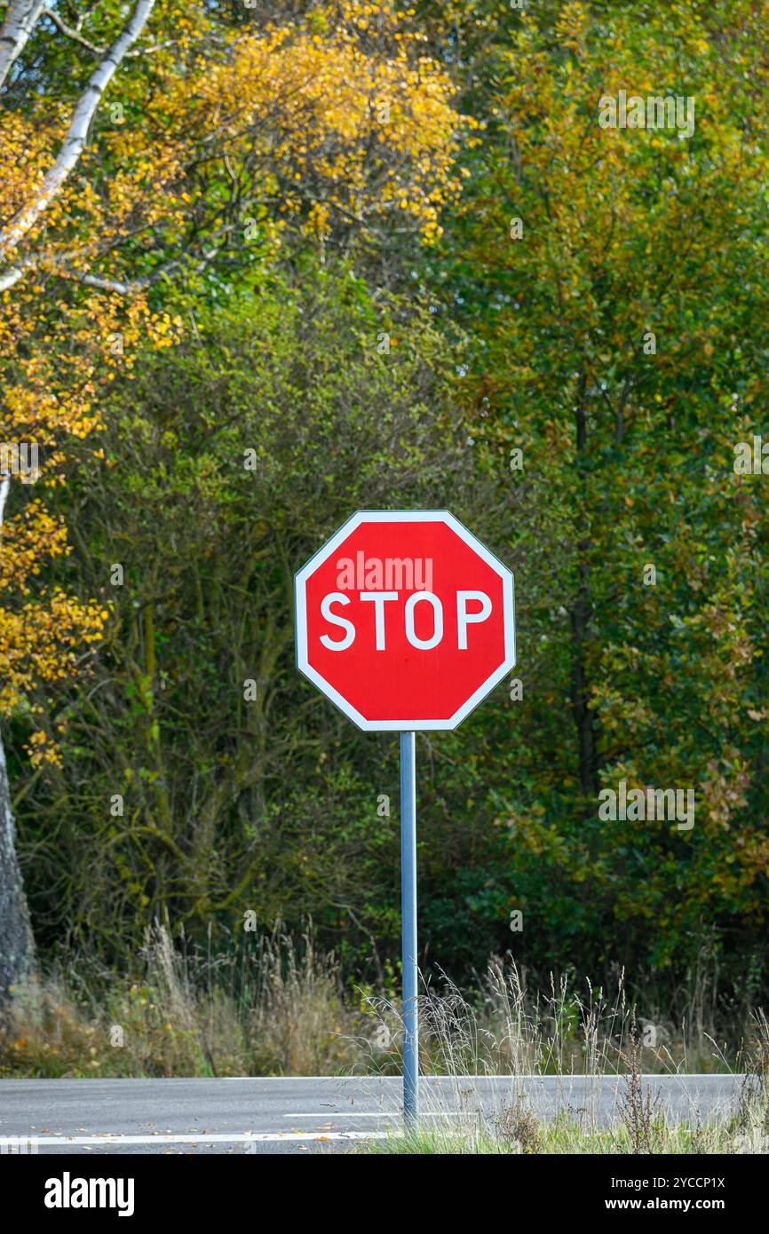 A stop sign marks the intersection of two roads in a tranquil rural ...