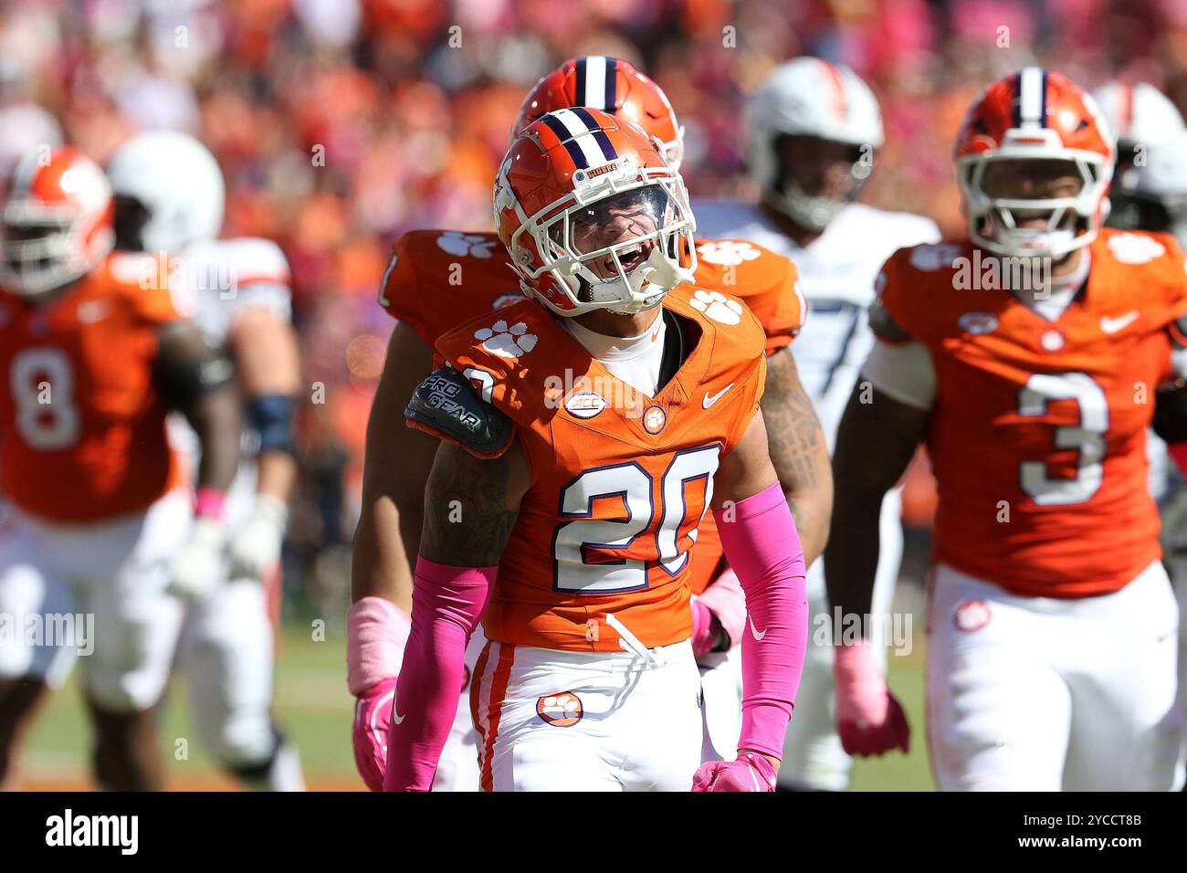 CLEMSON, SC - OCTOBER 19: Clemson Tigers corner back Avieon Terrell (20 ...