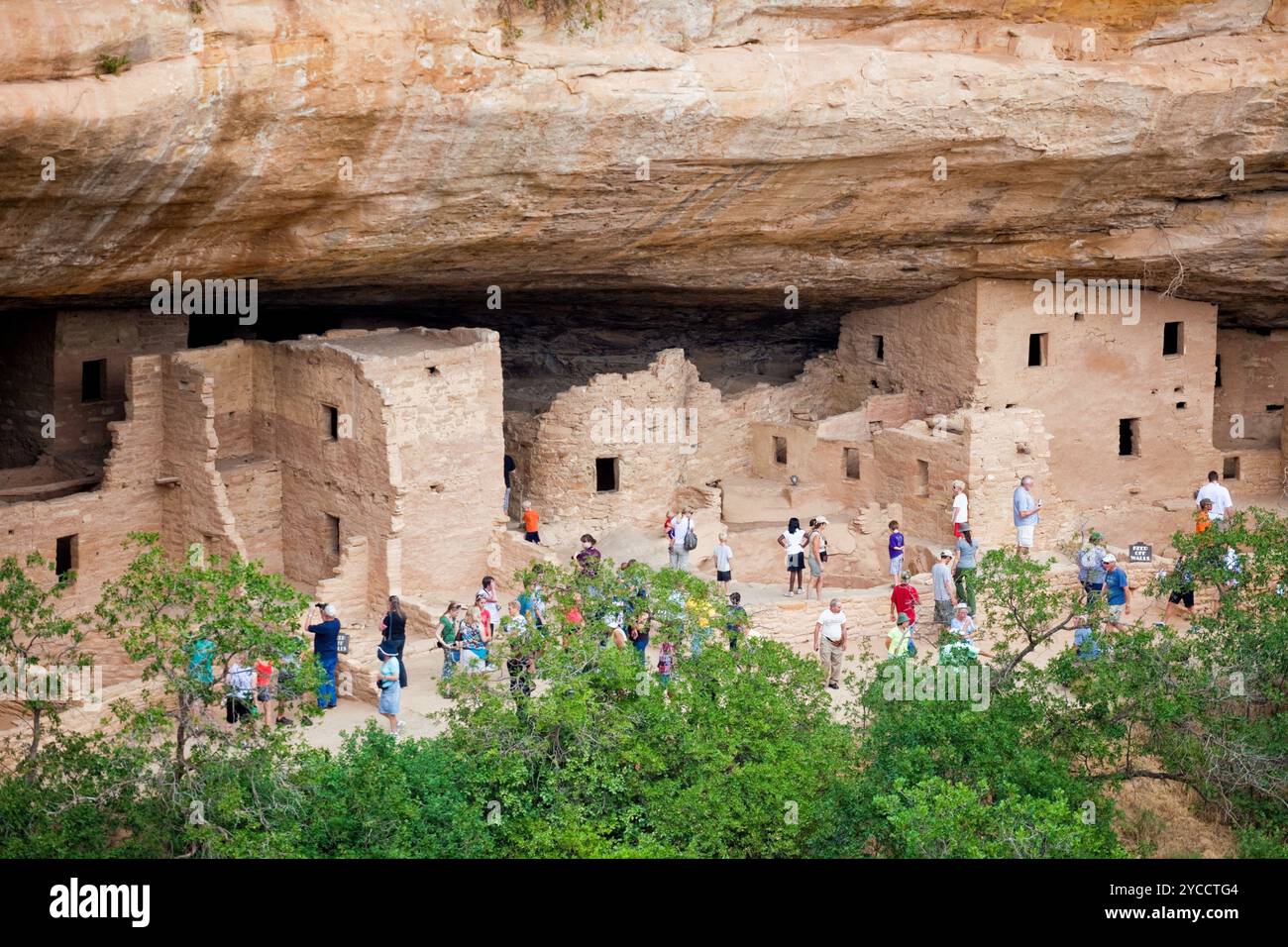 Tourists exploring the Spruce Tree House ciff dwellings at Mesa Verde ...