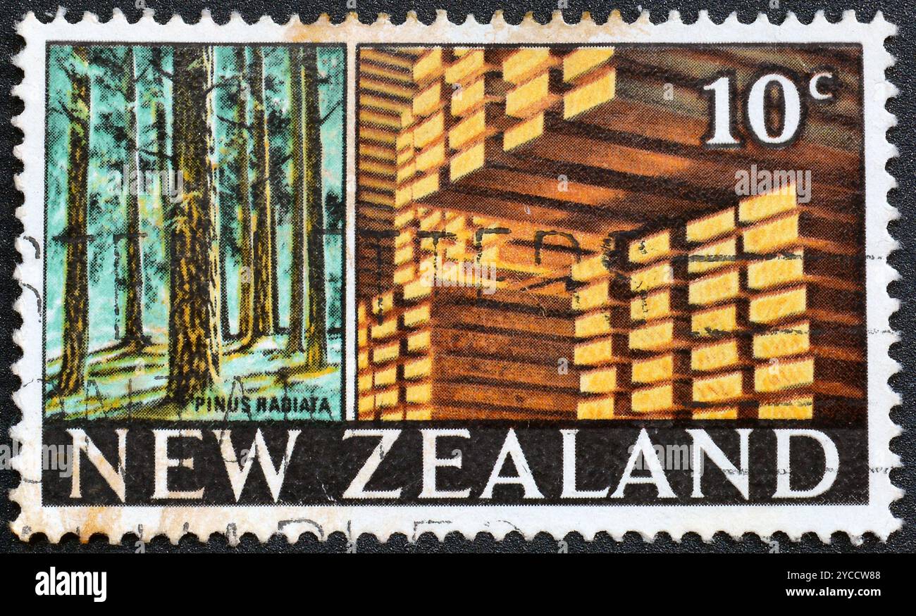 Cancelled postage stamp printed by New Zealand, that shows Pinus ...