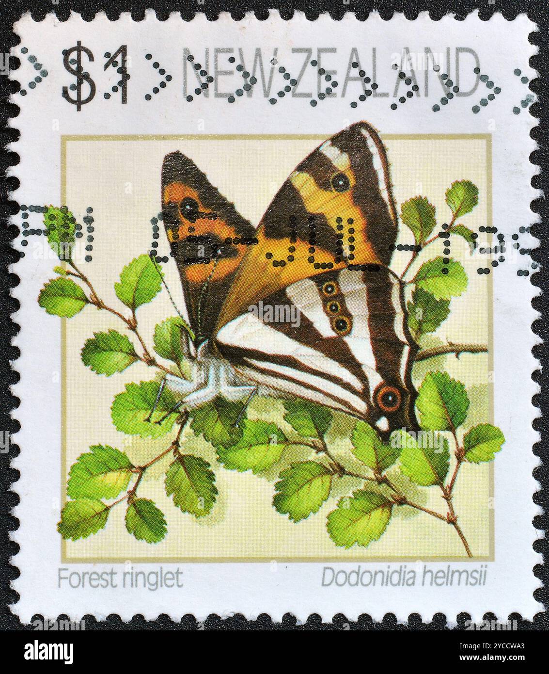 Cancelled postage stamp printed by New Zealand, that shows Forest ...