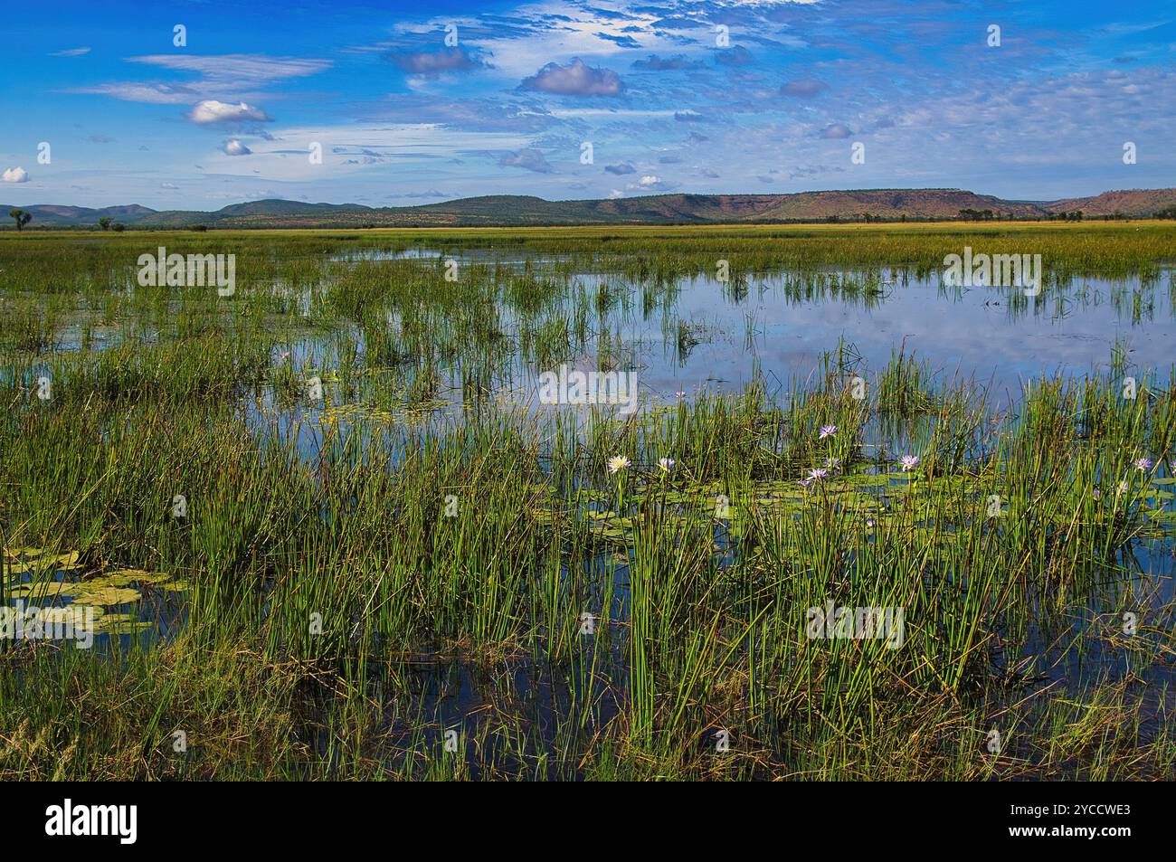 Wyndham reserve hi-res stock photography and images - Alamy
