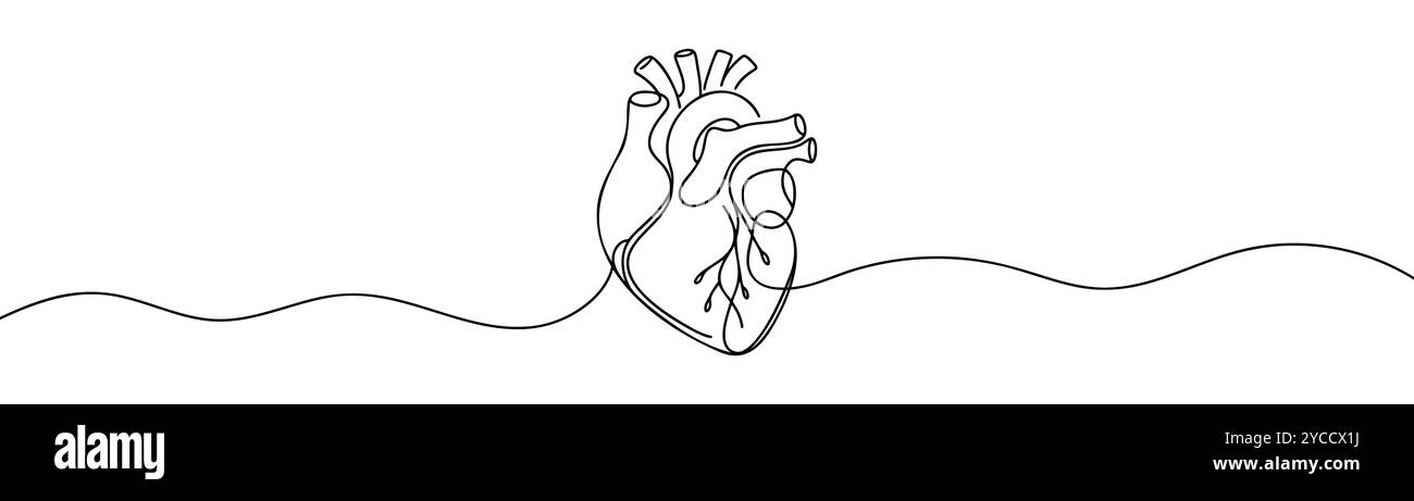 human heart internal organ in continuous line drawing. thin line ...