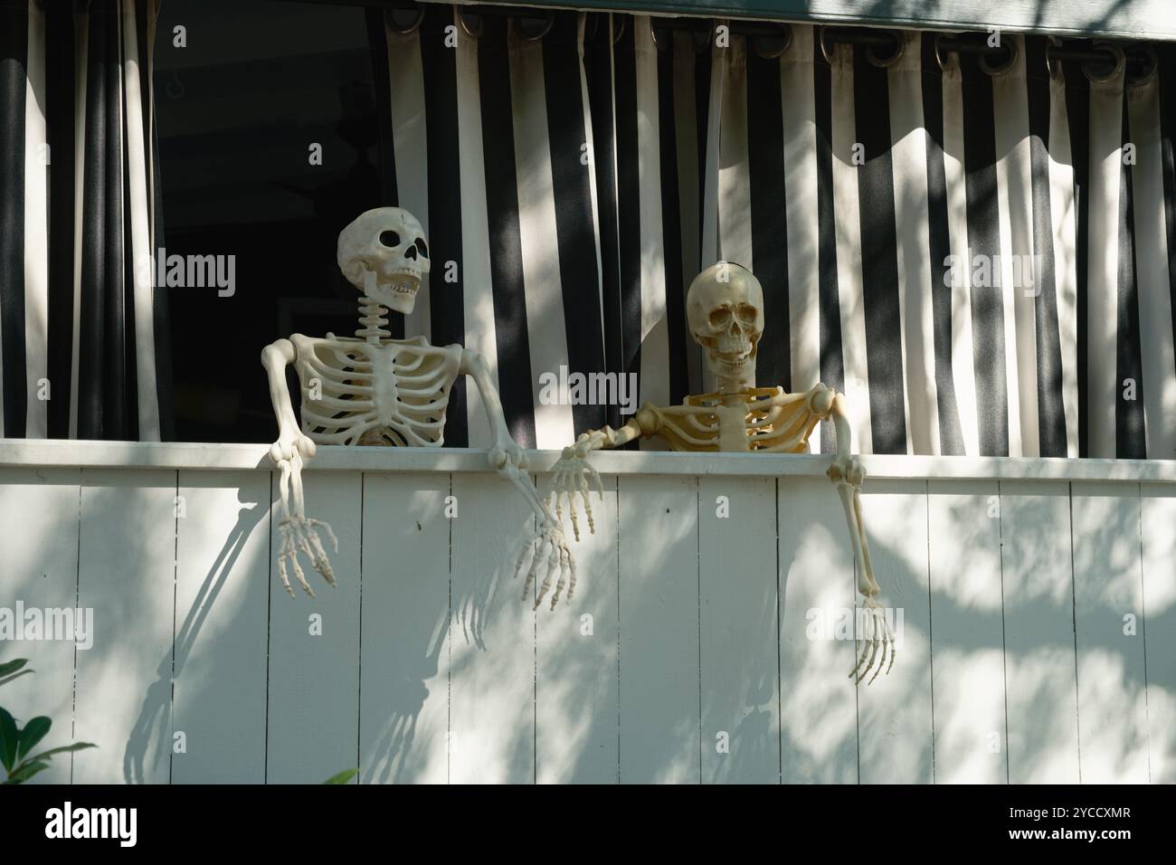 Halloween Decorations - Skeletons Stock Photo - Alamy