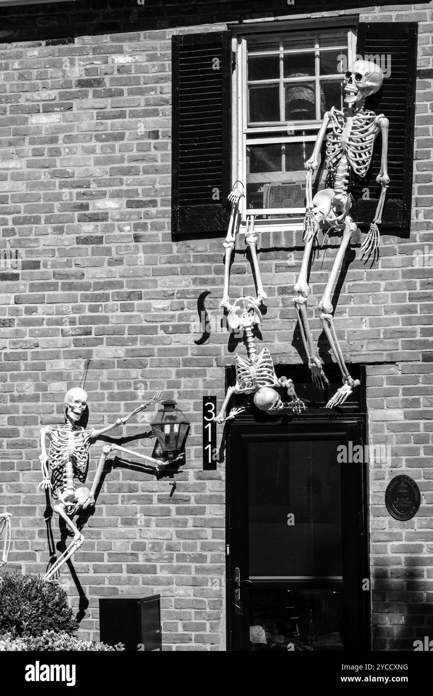 Halloween Decorations - Skeletons Stock Photo - Alamy