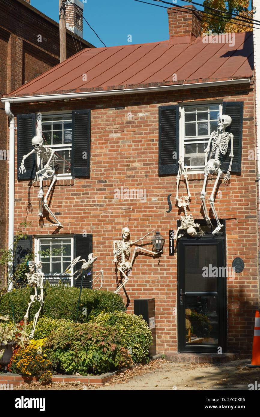 Halloween Decorations - Skeletons Stock Photo - Alamy