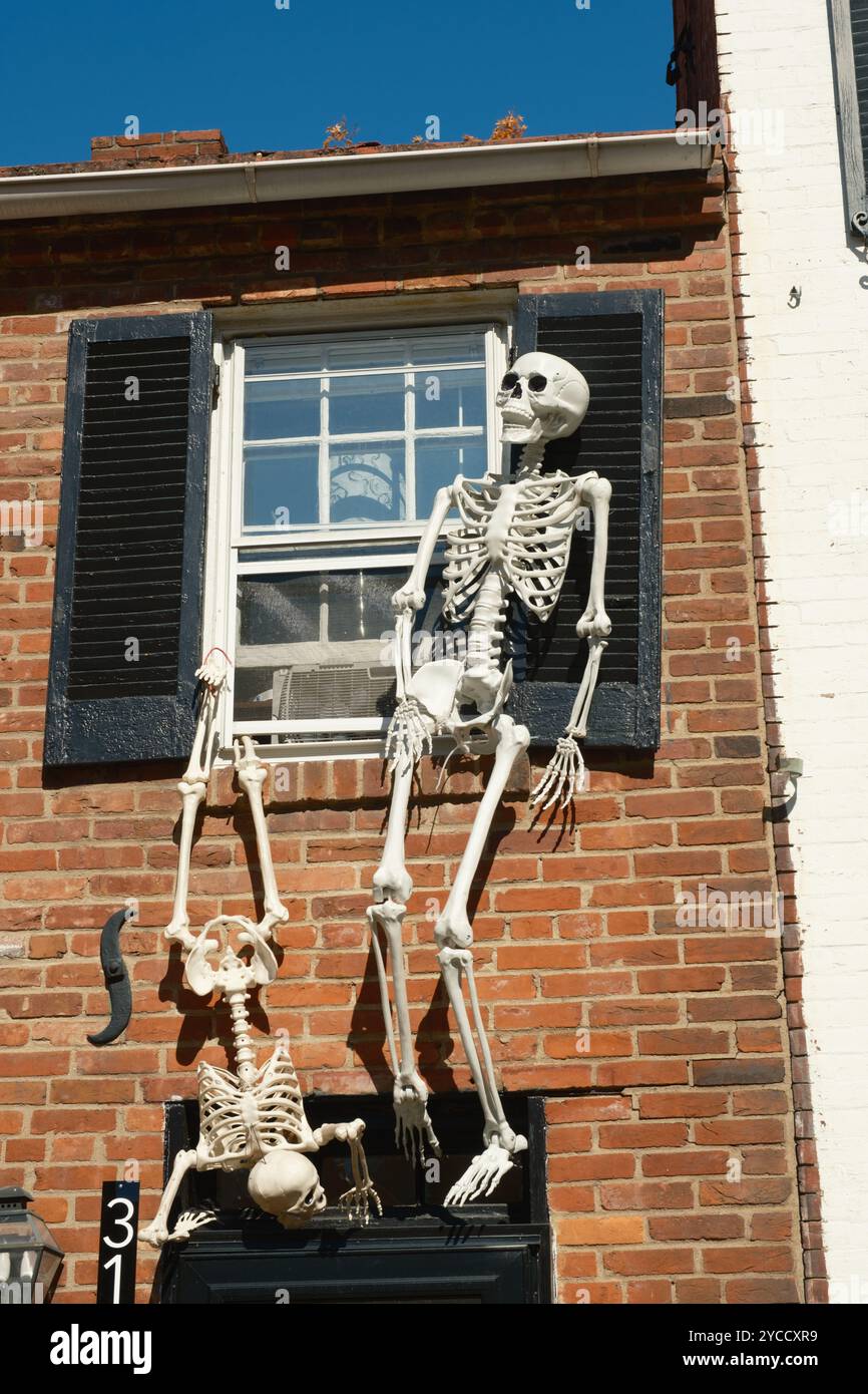 Halloween Decorations - Skeletons Stock Photo - Alamy
