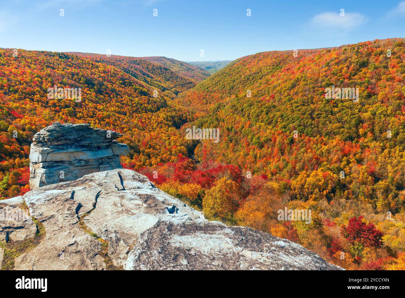 View from Lindy Point Overlook over Blackwater Canyon in Blackwater ...