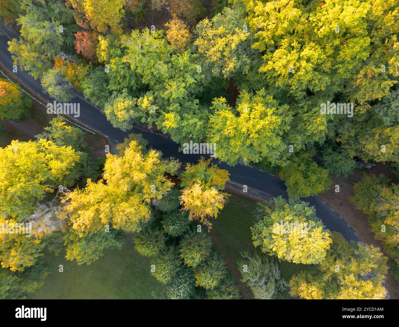 aerial view of a twisting and curved single-lane tarmac forest road ...