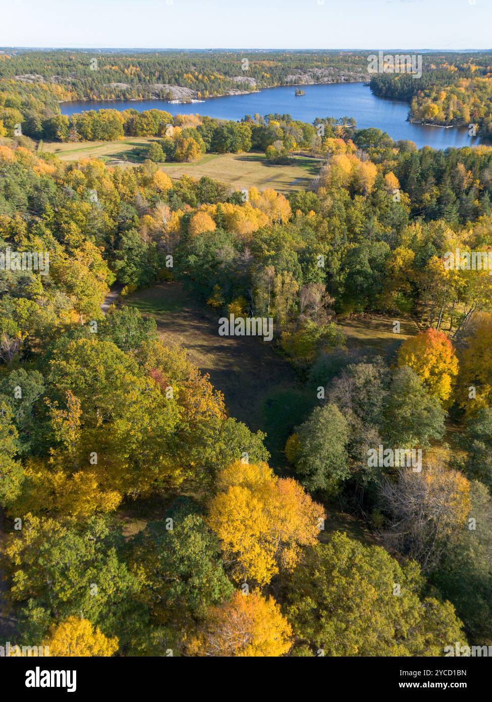 Aerial view of yellow autumn leaf foliage in trees of Hellasgården ...