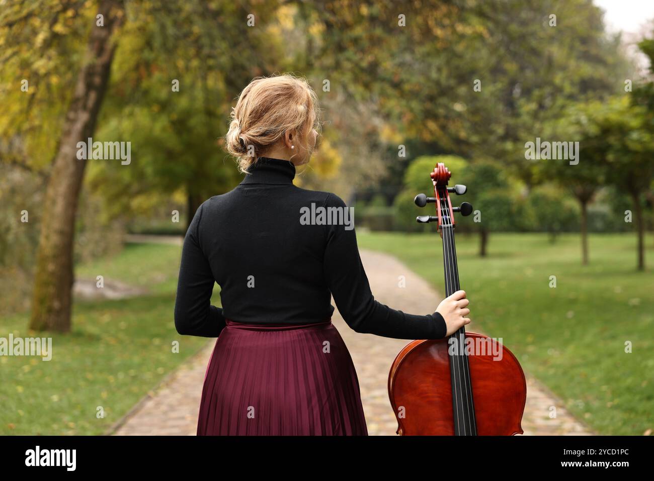 Woman with cello in park, back view. Classic musical instrument Stock ...