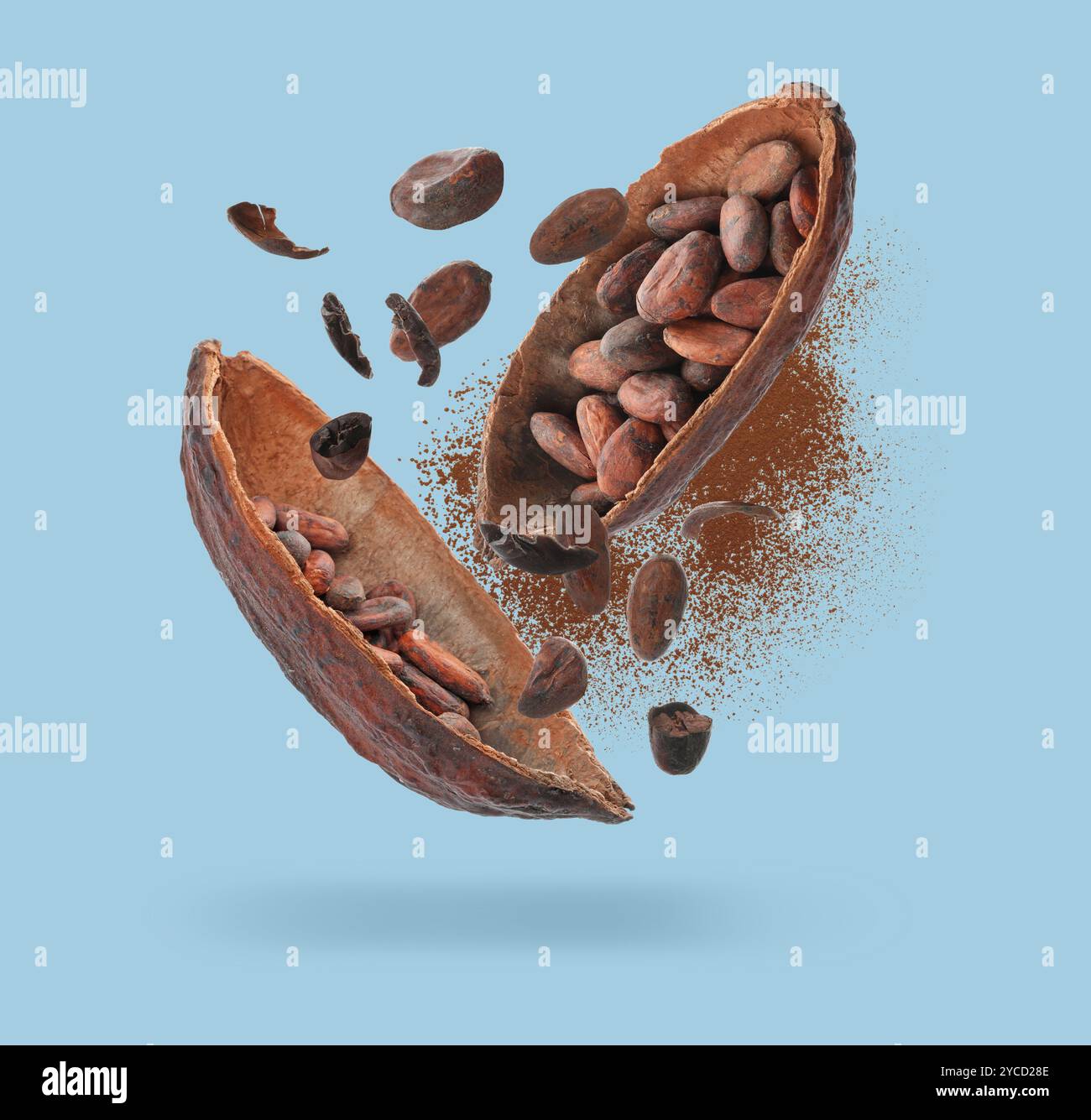 Cocoa pod with beans and powder in air on light blue background Stock ...