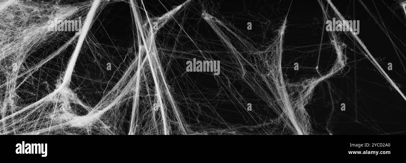 White cobweb on black background, banner design Stock Photo - Alamy