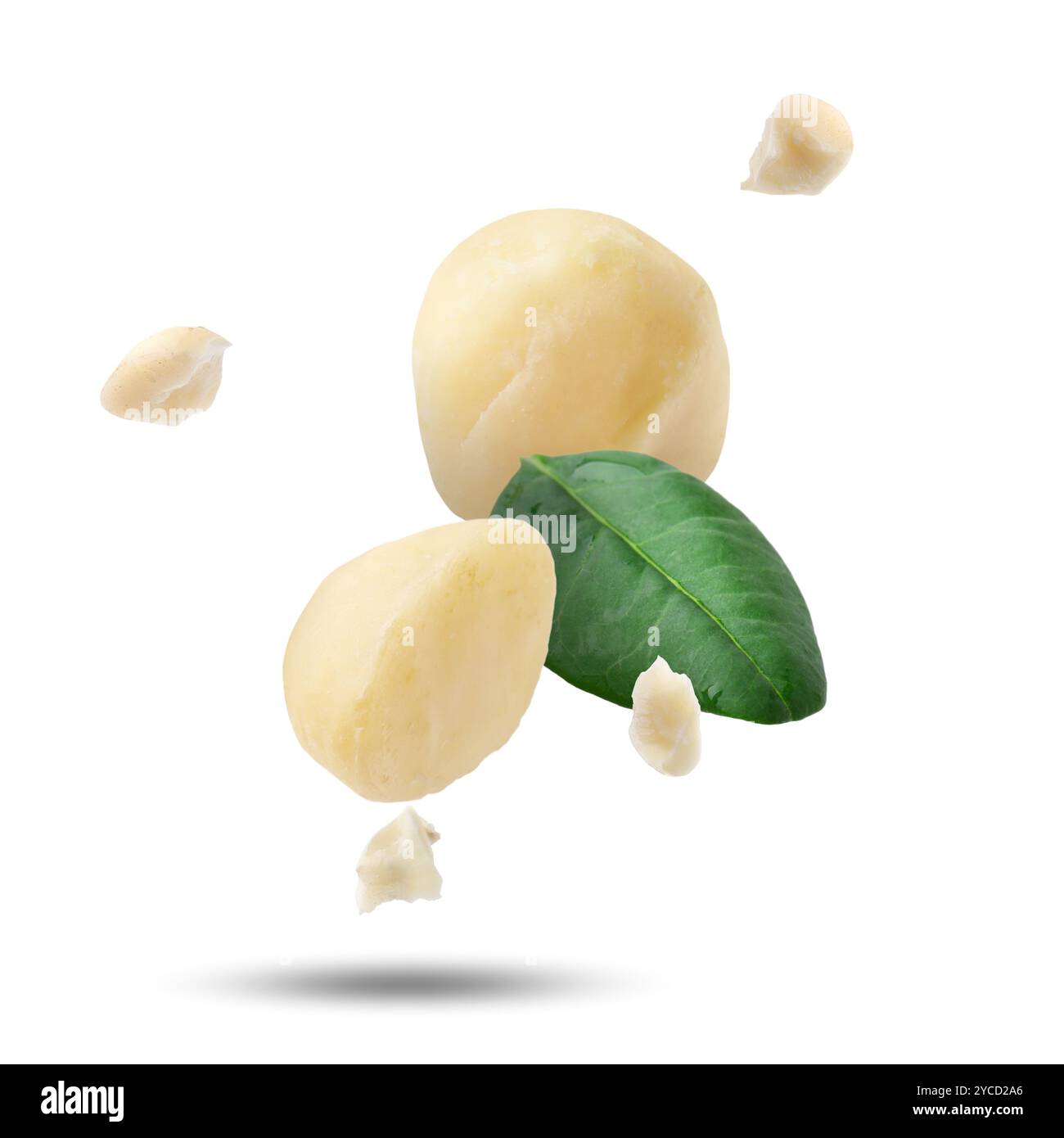 Macadamia nuts and green leaf in air on white background Stock Photo ...