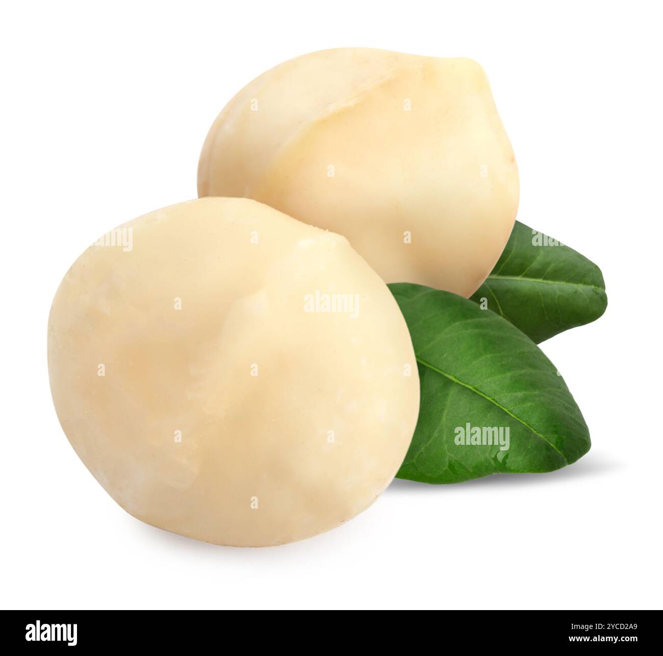 Macadamia nuts and green leaves on white background Stock Photo - Alamy