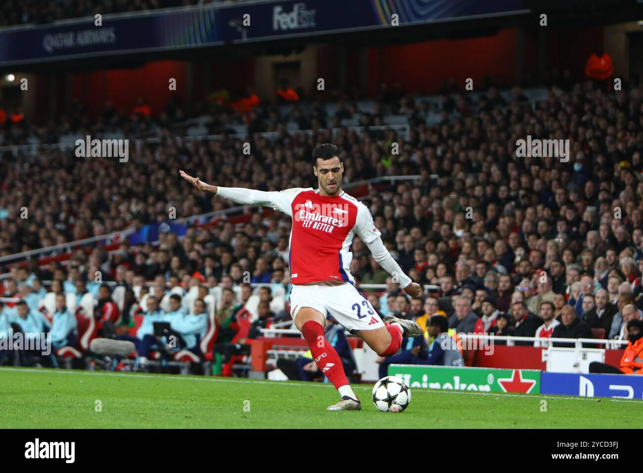 Alexander merino hi-res stock photography and images - Alamy