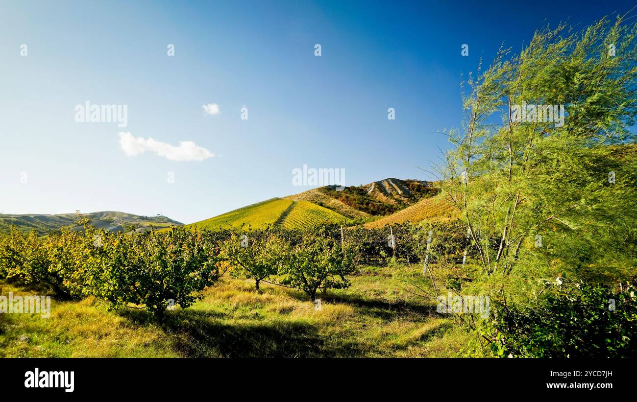 Landscapes and colors of the spring flowering of the Emilia-Romagna ...
