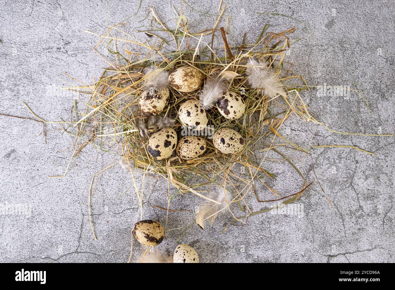 Fresh quail eggs. Rustic style Stock Photo - Alamy