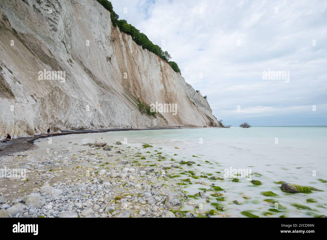 Beautiful nature of Mons Klint cliffs in Denmark Stock Photo - Alamy