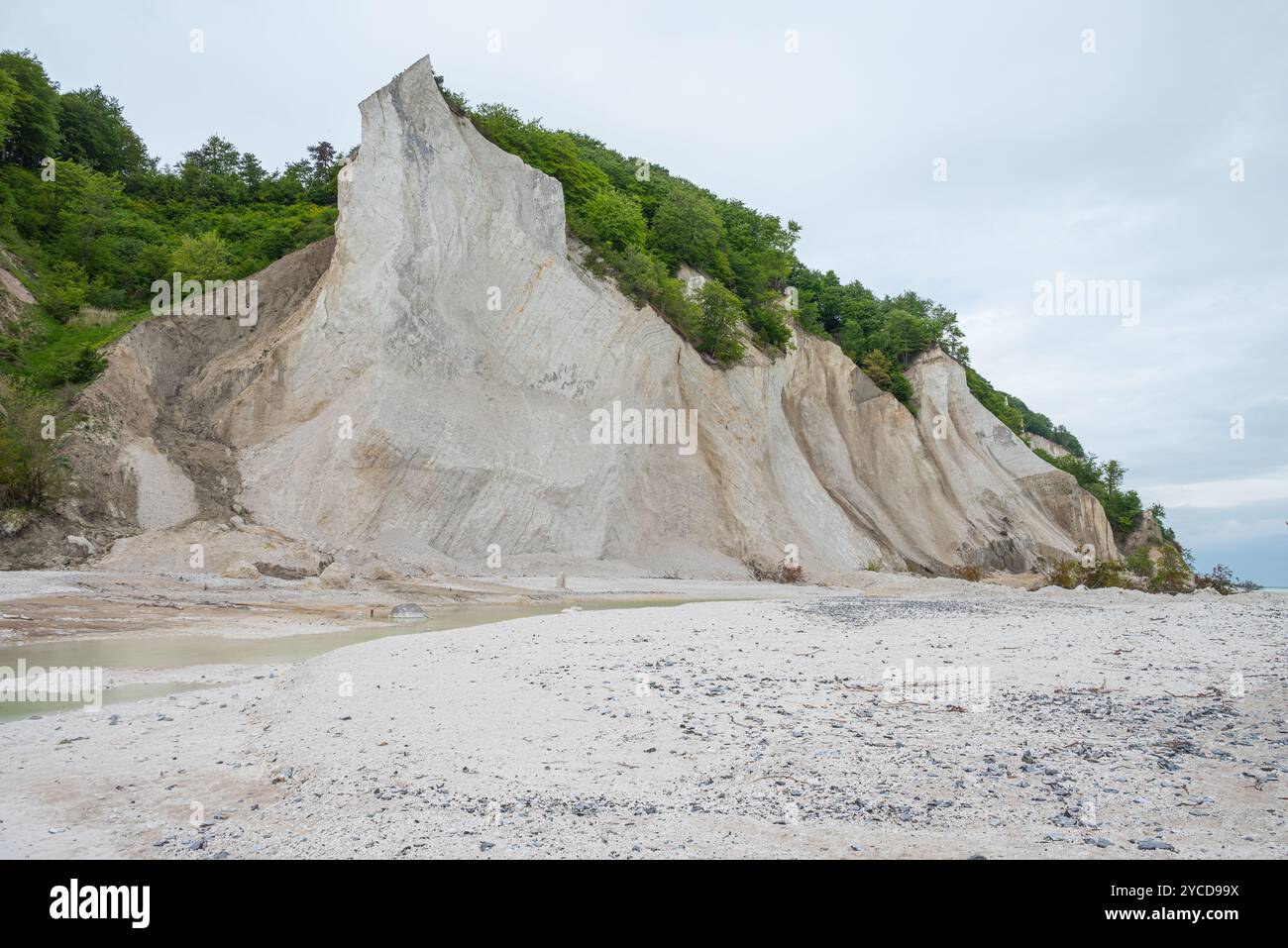 Beautiful nature of Mons Klint cliffs in Denmark Stock Photo - Alamy