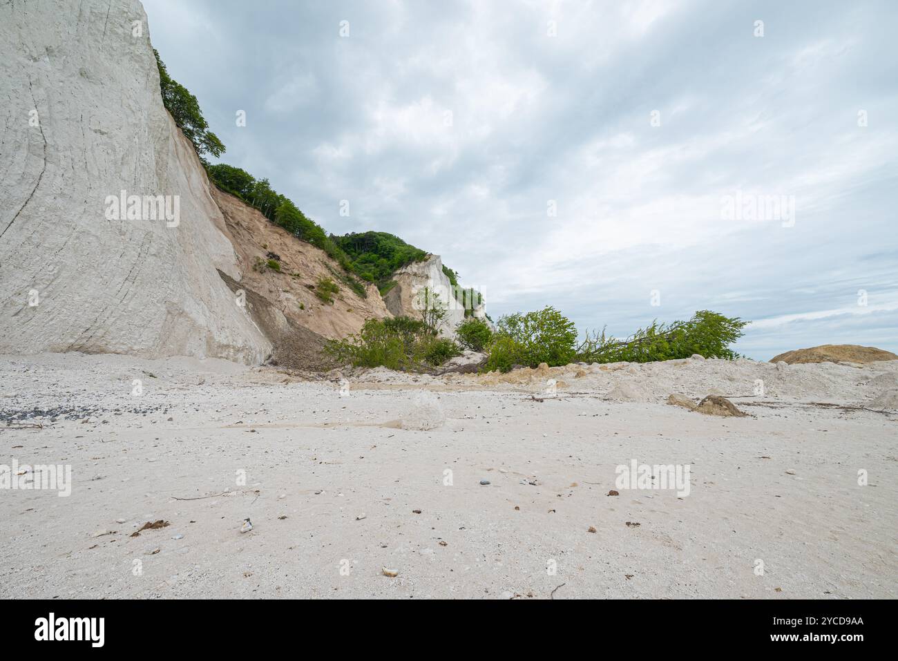 Beautiful nature of Mons Klint cliffs in Denmark Stock Photo - Alamy