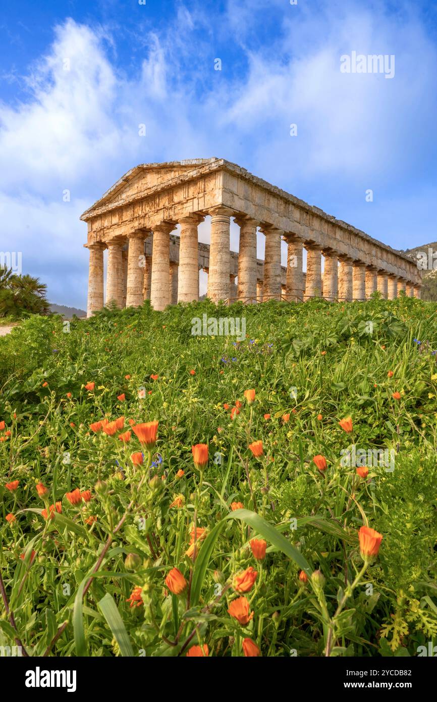 Doric temple, Segesta, Calatafimi , Trapani, Sicily, Italy Stock Photo ...