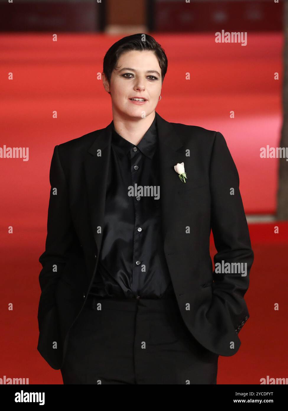 Roma Cinema Fest 2024. Rome Film Fest. Red carpet film "The Tree ...