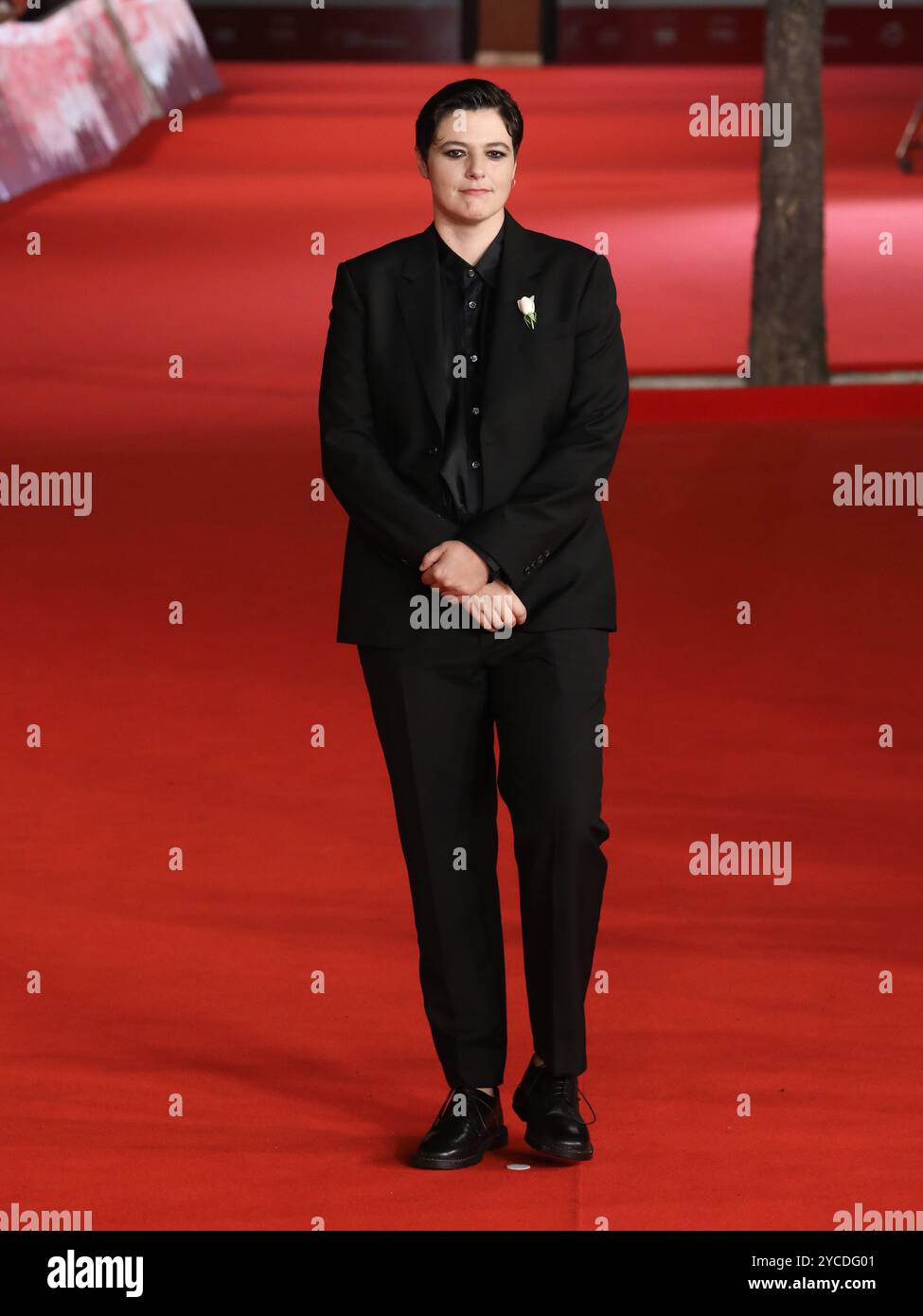 Roma Cinema Fest 2024. Rome Film Fest. Red carpet film "The Tree ...