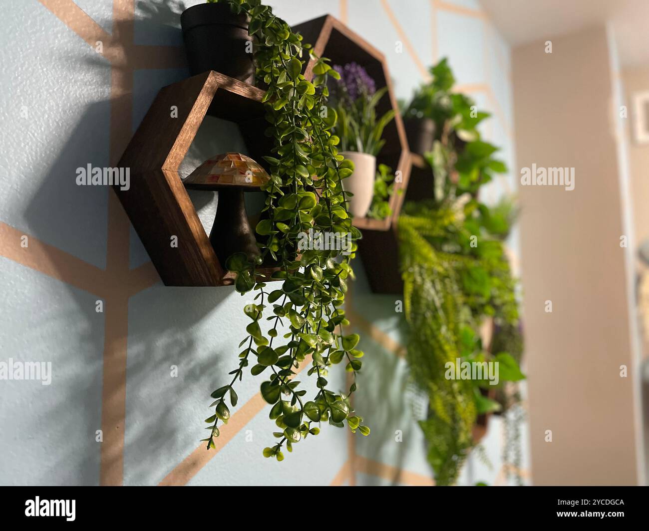 Wooden hexagon shelves decorated with houseplants and small decor items ...