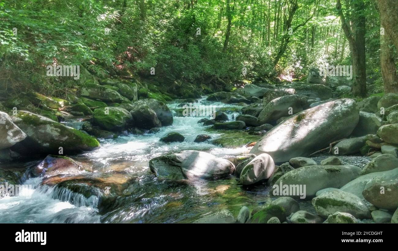 The brook and vista in the mountains hi-res stock photography and ...