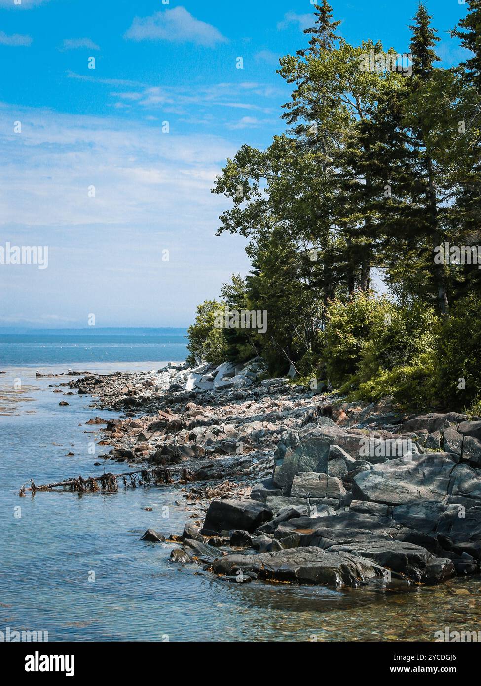 Rocky Waters Edge and Blue Sky at Hancock Point, Maine Stock Photo - Alamy