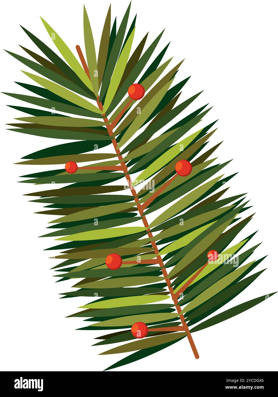 Detailed christmas holly leaf hi-res stock photography and images - Alamy