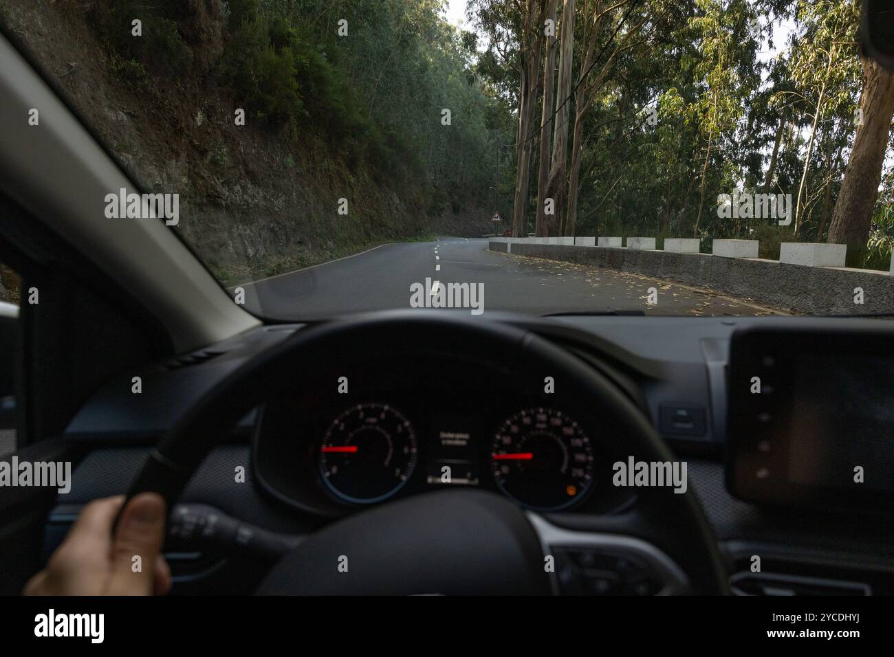 Driver view to the curvy asphalt road with trees. Blurred inside car ...