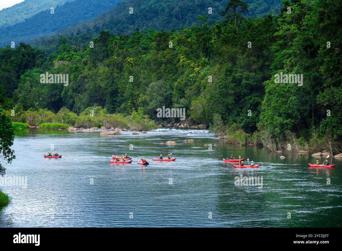 Red inflatable rafts on Tully River, Tully Gorge North Queensland Stock ...
