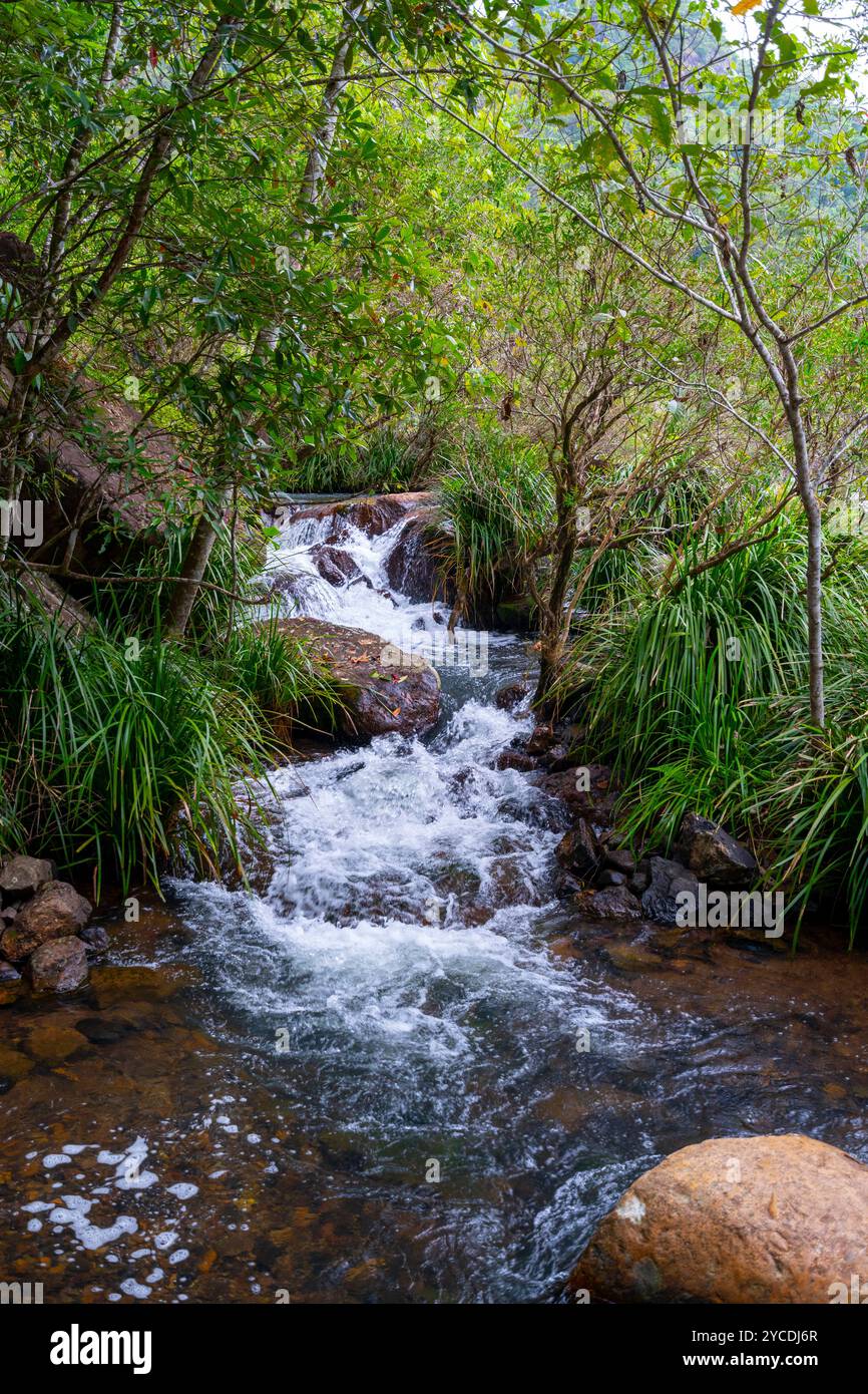Tully creek hi-res stock photography and images - Alamy