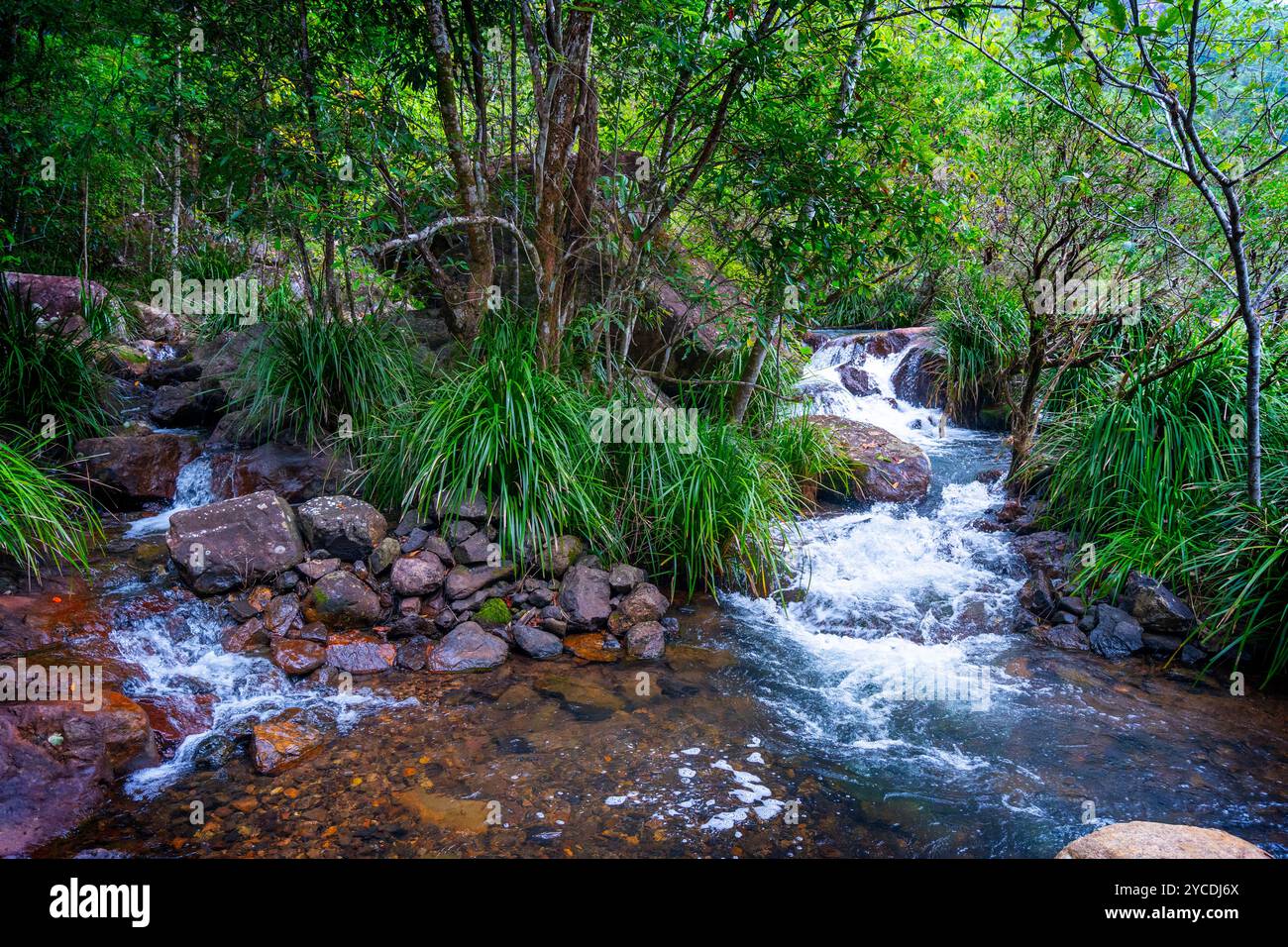 Small waterfall, Tully River, Tully Gorge North Queensland Stock Photo ...