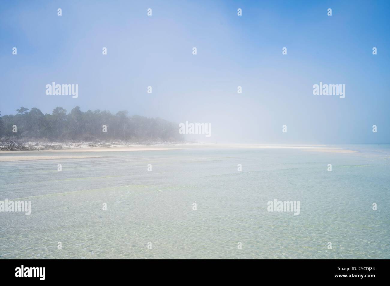Foggy morning on beach at Moon Point, Fraser Island, Kgari, Hervey Bay ...