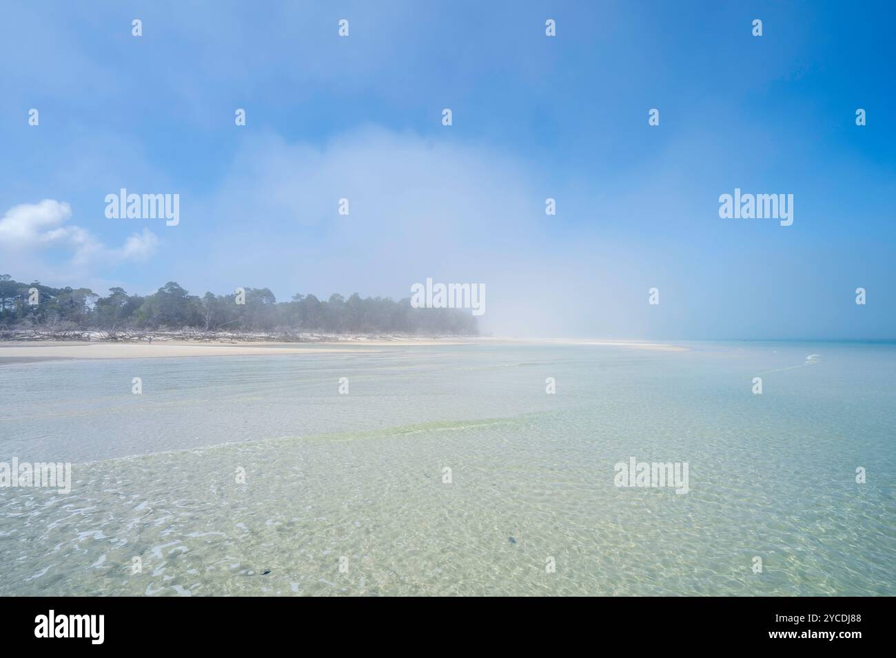 Foggy morning on beach at Moon Point, Fraser Island, Kgari, Hervey Bay ...