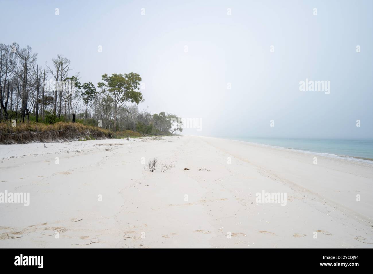 Foggy morning on beach at Moon Point, Fraser Island, Kgari, Hervey Bay ...