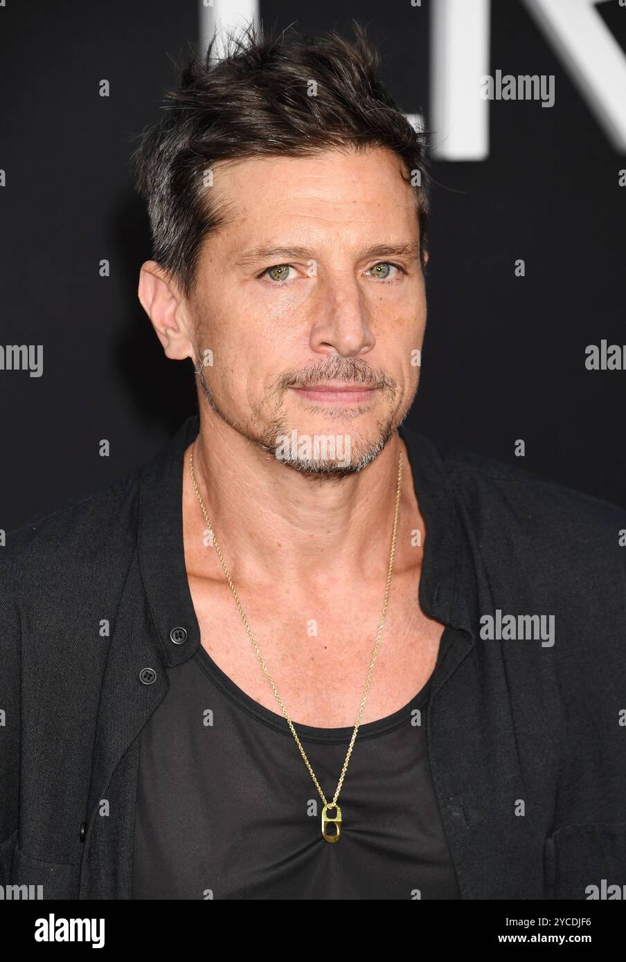 LOS ANGELES, CALIFORNIA - OCTOBER 21: Simon Rex attends the Los Angeles ...