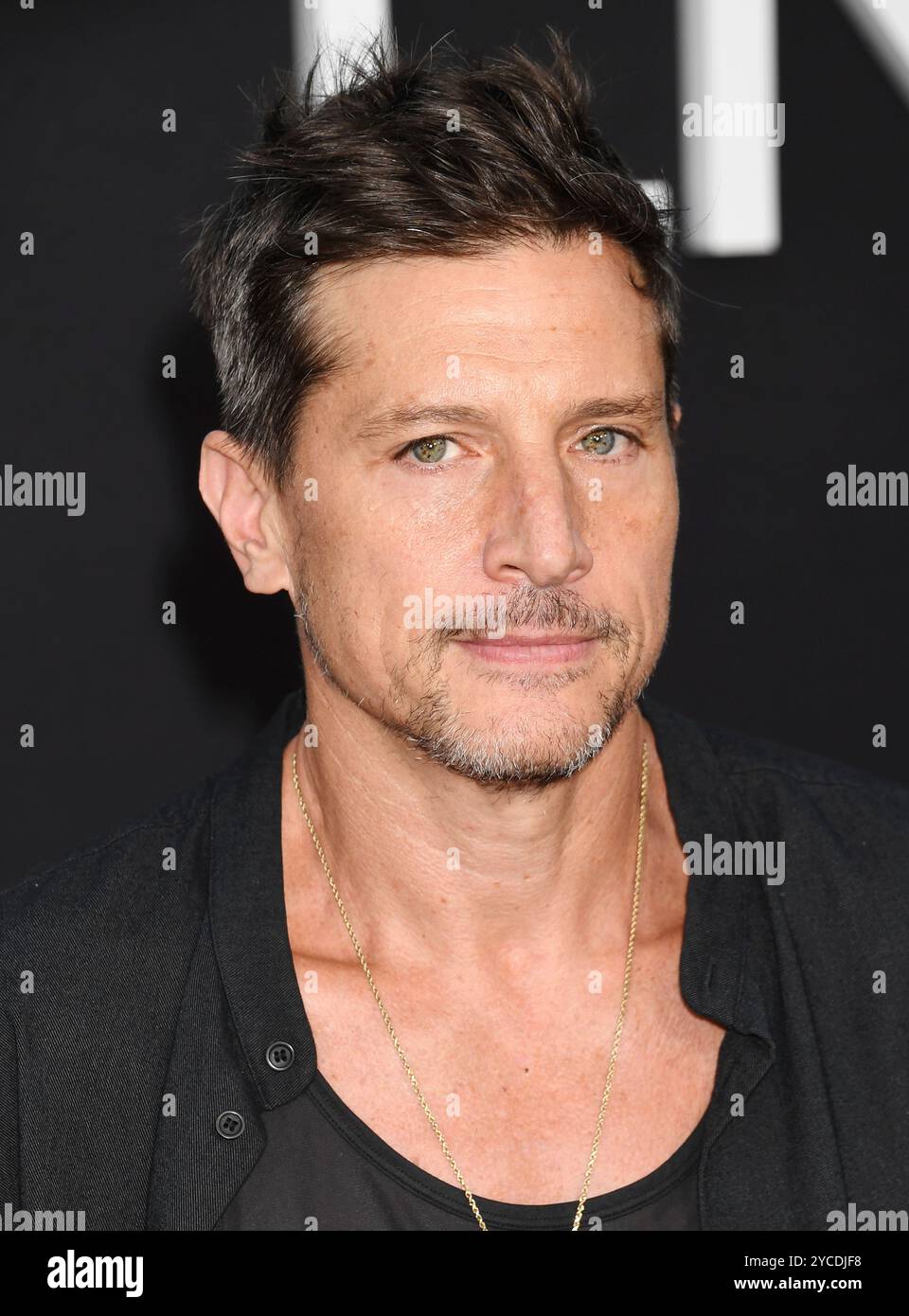 LOS ANGELES, CALIFORNIA - OCTOBER 21: Simon Rex attends the Los Angeles ...