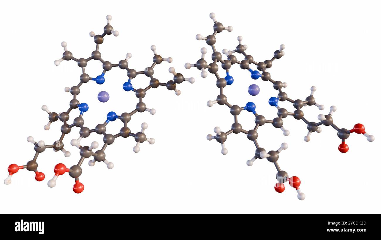 3d rendering of heme molecule in the white background. Heme is a ...