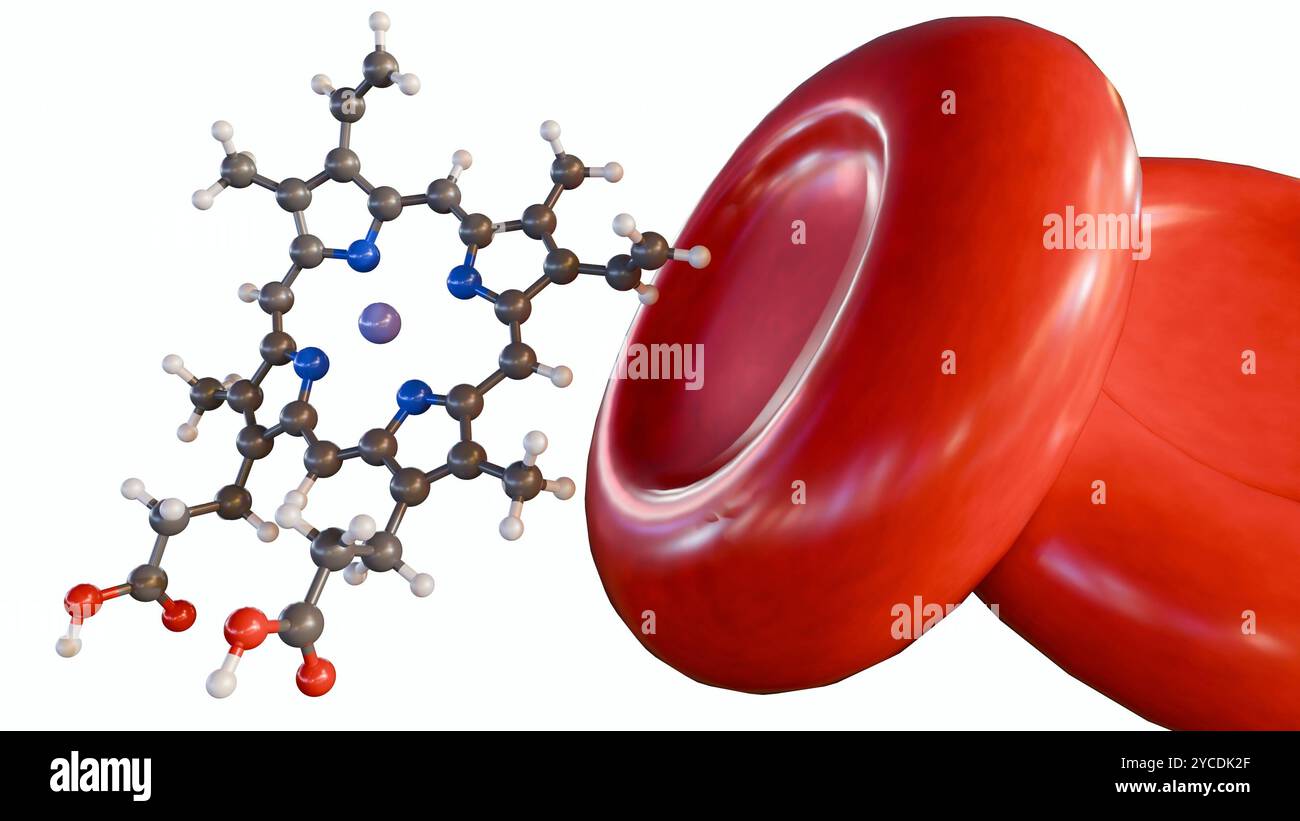 3d rendering of heme molecule and red blood cell or erythrocyte. Heme ...