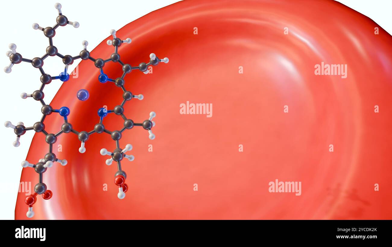 3d rendering of heme molecule and red blood cell or erythrocyte. Heme ...