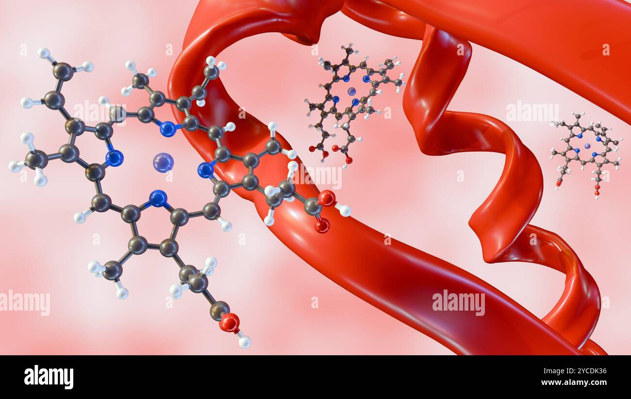 3d rendering of heme molecule and protein structure in the white ...