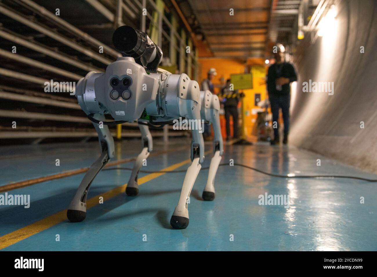 Robodog doing radiation protection test at CERN (the European ...