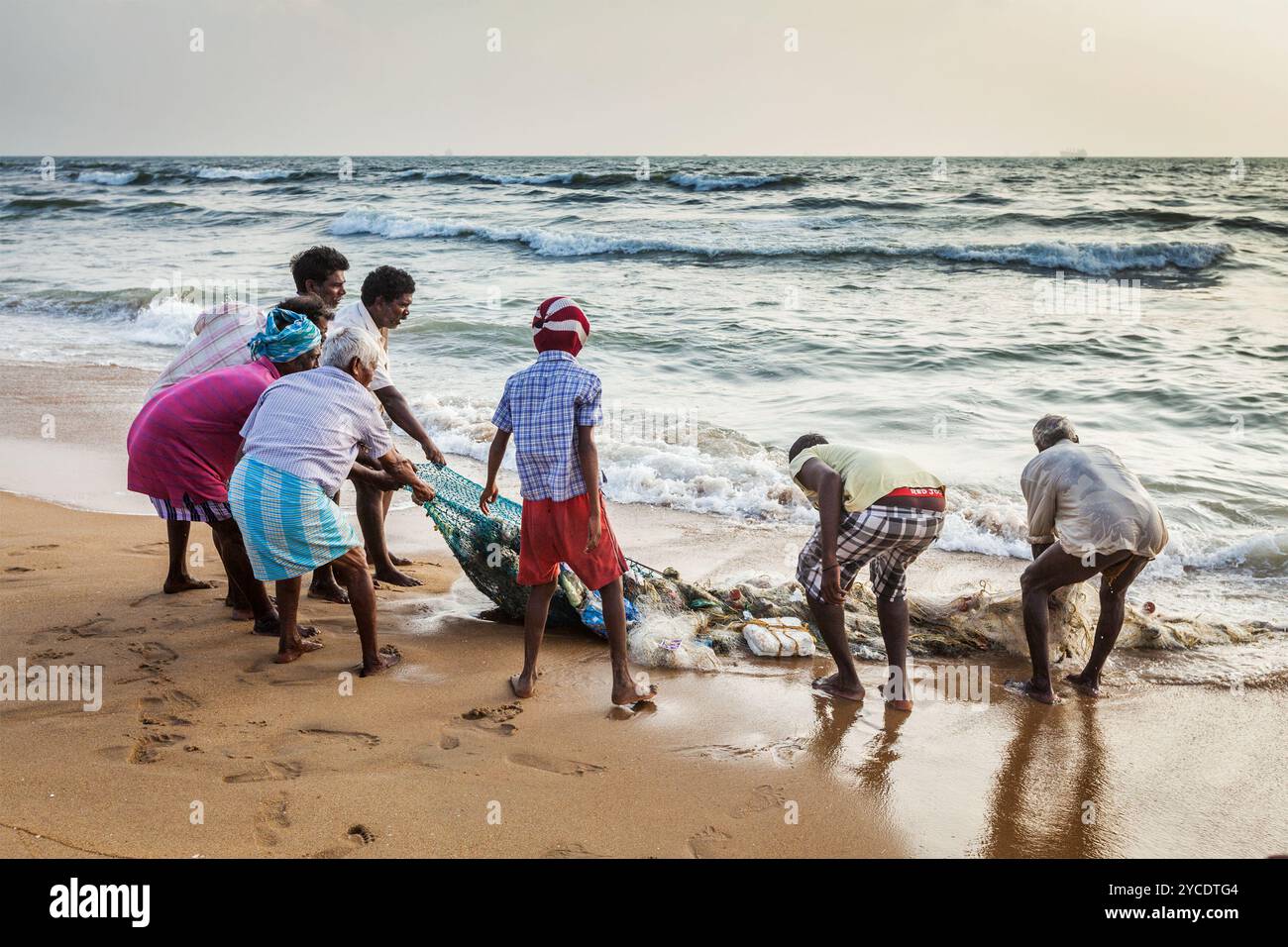 Indian fishermen dragging fishing net with their catch from sea on ...
